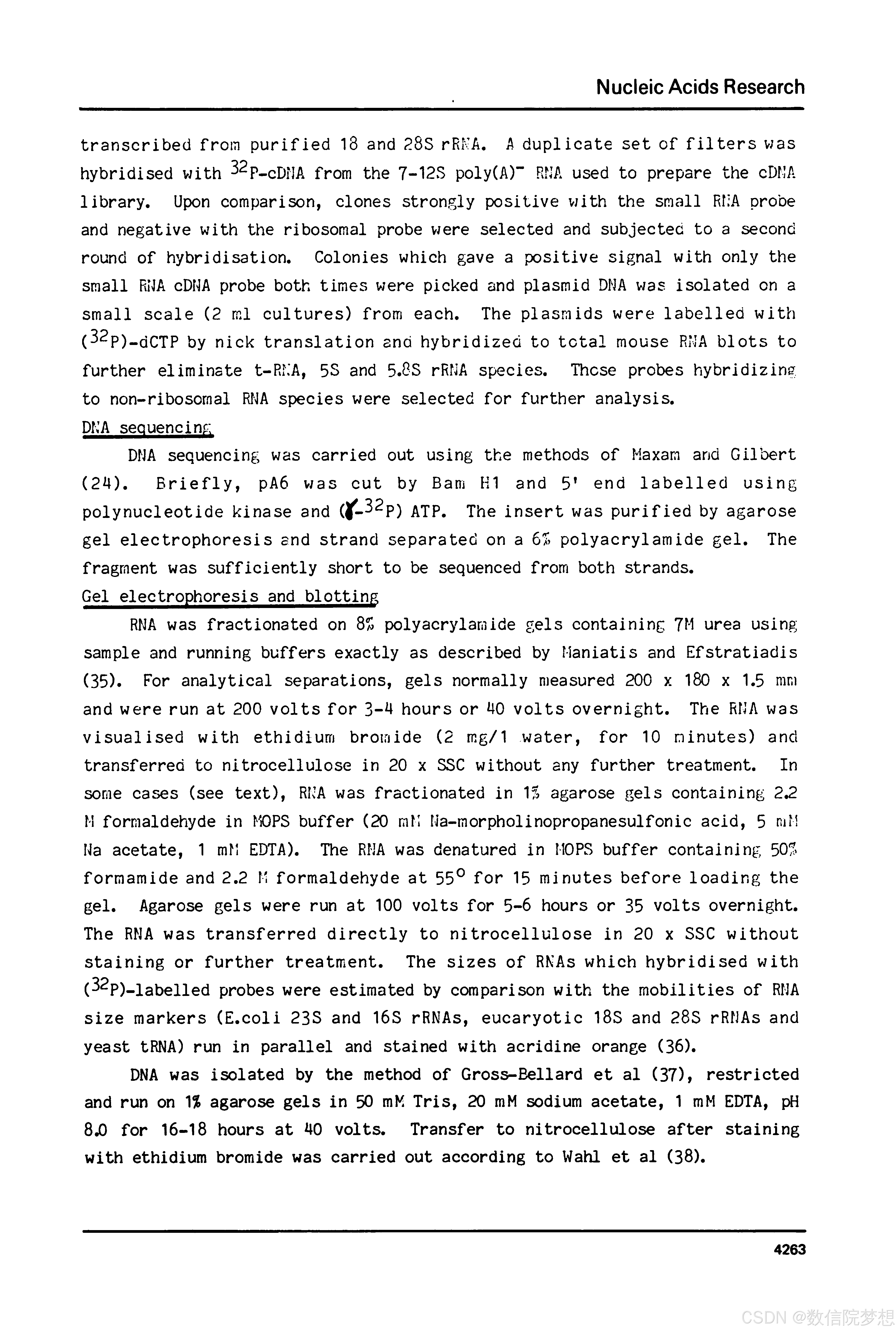 Cloning and characterisation of the abundant cytoplasmic 7S RNA from ...