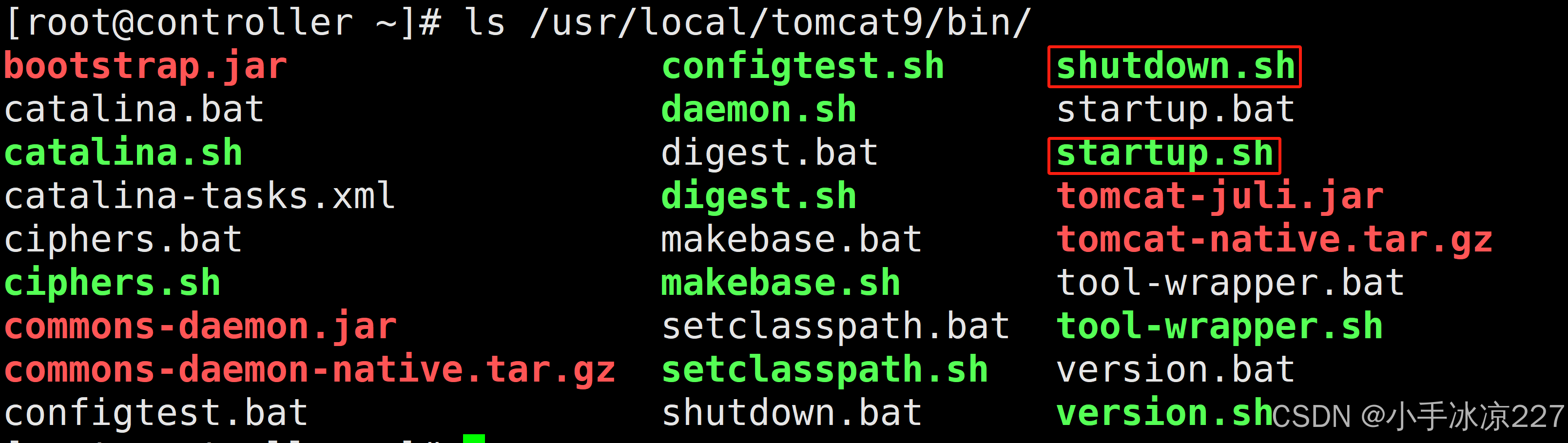 day01(linux基本命令+wget下载+tomcat安装）-CSDN博客