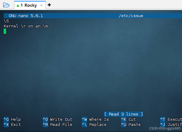 linux /etc/motd /etc/issue文件 _liunx 公告文件-CSDN博客