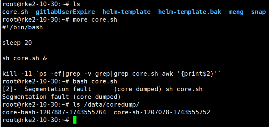 linux core 文件配置和模拟生成_linux 生成core文件-CSDN博客