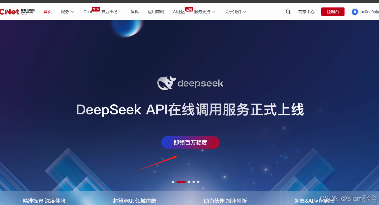 全网首创AI编程之vscode+deepseek免费token，妈妈再也不用担心我加班了_免费的ai token-CSDN博客