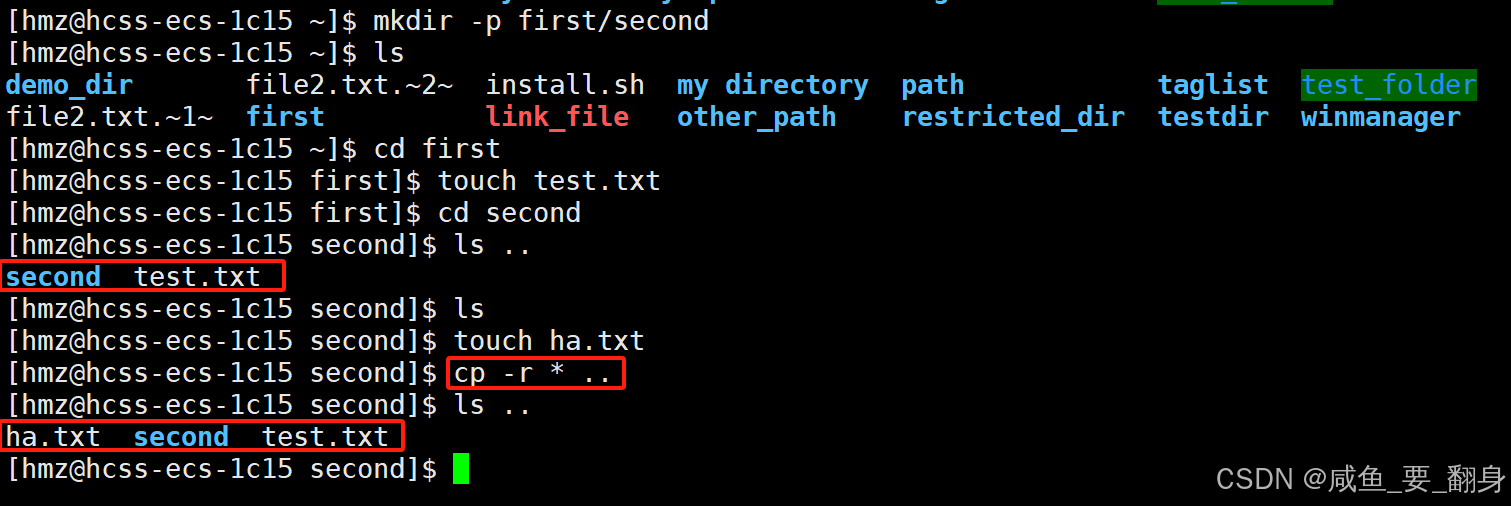 Linux基本命令篇 —— cp命令_linux cp-CSDN博客