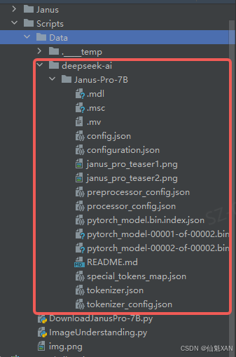 Python 【大模型】之 Deepseek 多模态 Janus 【图生文】【文生图】本地部署/代码调用 的简单整理_本地部署 janus-CSDN博客