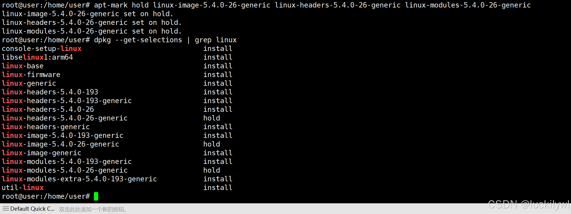 ubuntu20.04 昇腾310p 开发环境部署_err00100 pta call acl api failed-CSDN博客