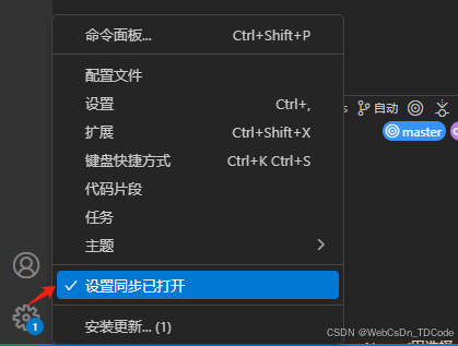VS Code插件 — Sync Settings ： 设置和同步用户配置（只适用早期版本）_vscode settings sync-CSDN博客