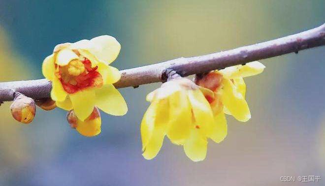 Python数据分析从小白到高手-Python如何调用ChatGPT_python调用chatgpt-CSDN博客