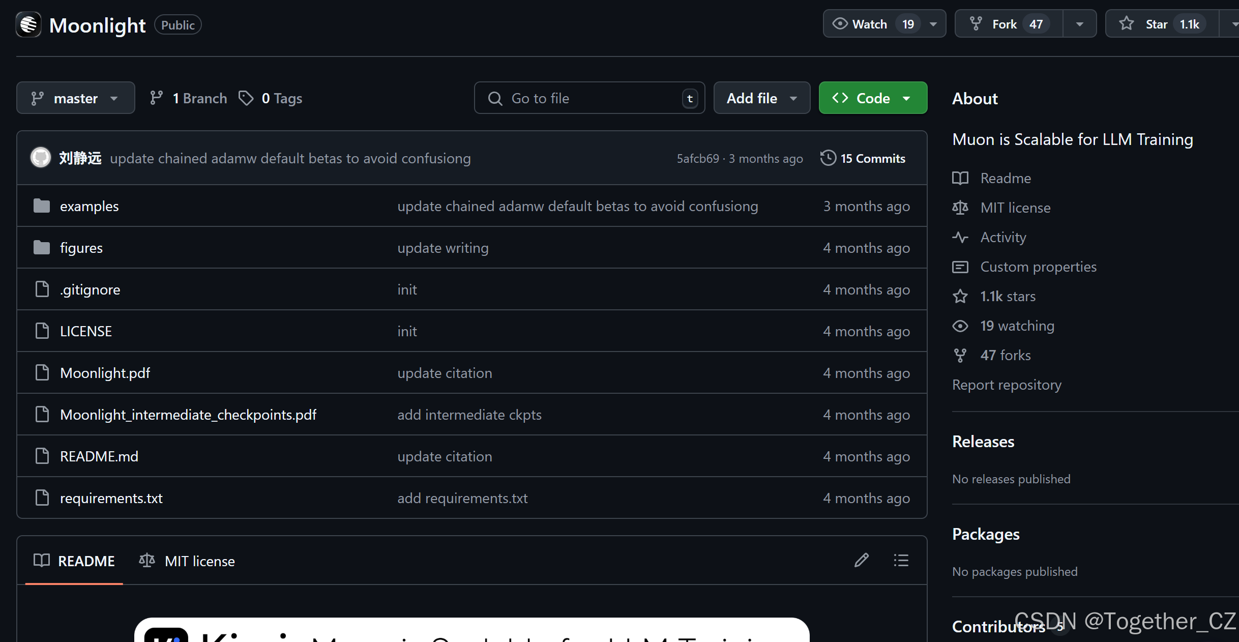 MoonLight：Muon is Scalable for LLM Training——Muon 适用于 LLM 训练的可扩展性-CSDN博客