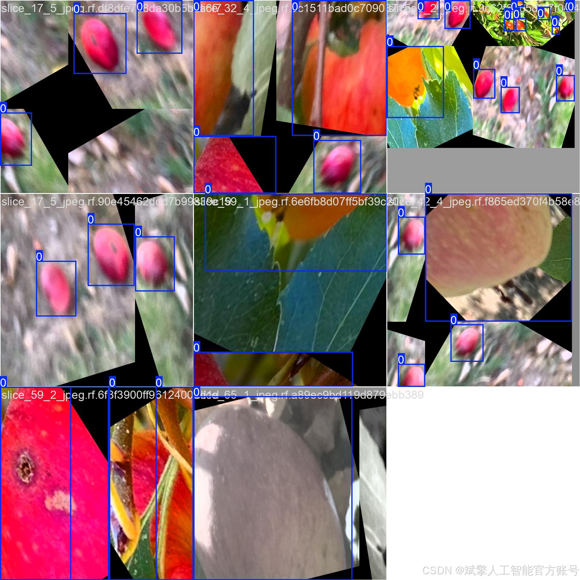 基于深度学习YOLOv12的树上自然生长的苹果检测系统（YOLOv12+YOLO数据集+UI界面+登录注册界面+Python项目源码+模型）-CSDN博客