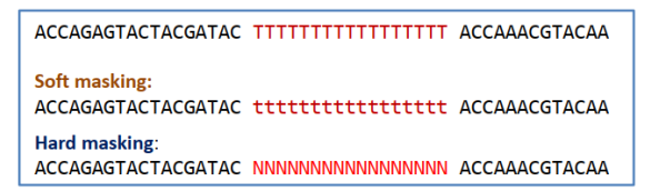 Using MAKER for Genome Annotation-CSDN博客