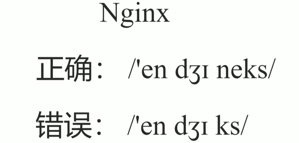 Nginx的发音/读音-CSDN博客
