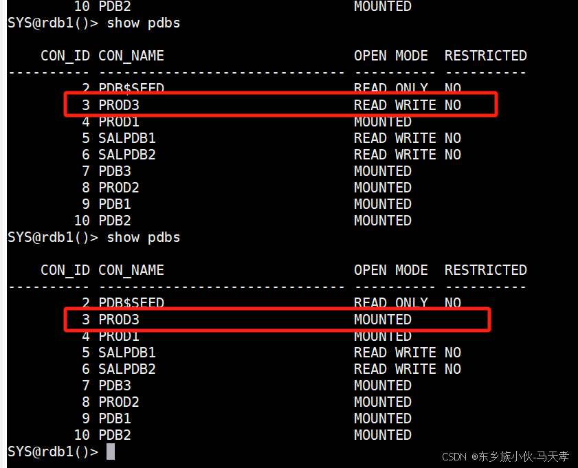 Linux Oracle19c的PDB的迁移（Relocating a PDB ）_oracle pdb迁移-CSDN博客