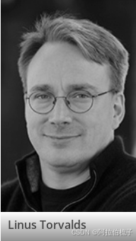 IT界的大神-004- 林纳斯·托瓦兹 (Linus Torvalds)-CSDN博客