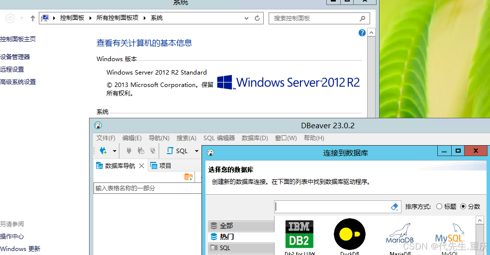 数据库可视化管理工具dbeaver试用及问题处理。_swt-win32-4965r11.dll-CSDN博客
