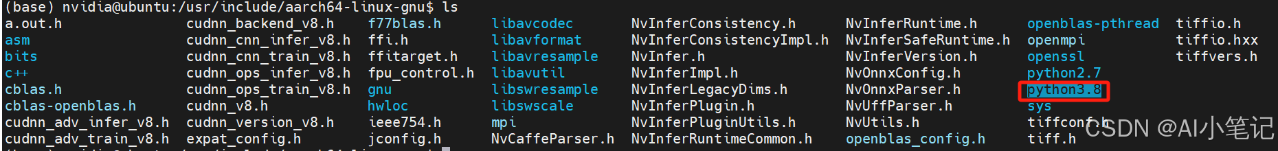 Jetson安装Python3.8 tensorrt库_jetson tensorrt-CSDN博客