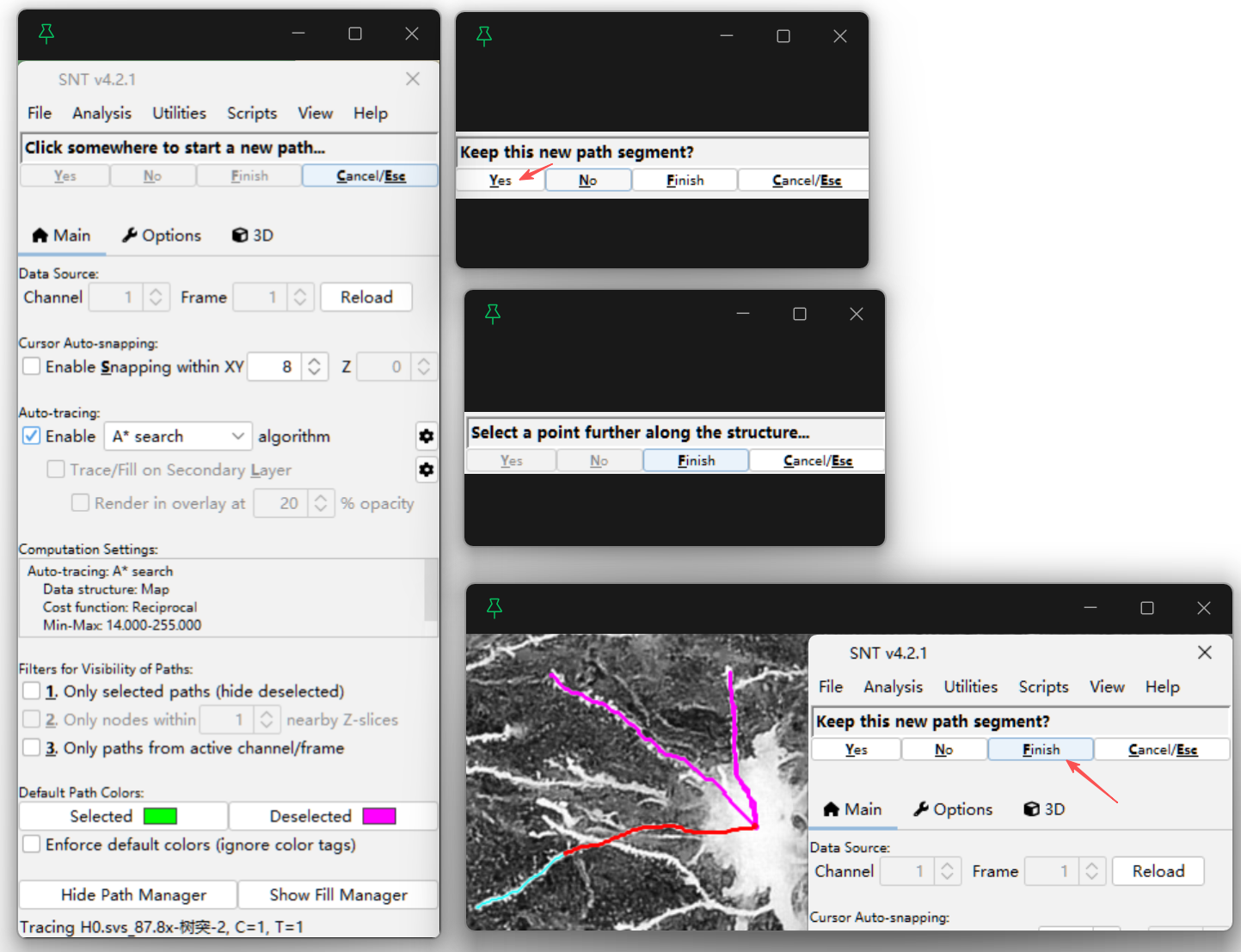 神经元高尔基染色Sholl分析(ing)-CSDN博客