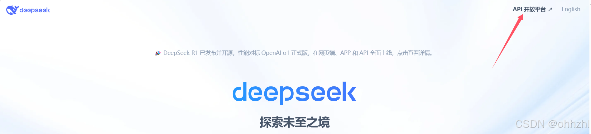 deepseek介绍及vscode部署_deepseek vscode插件-CSDN博客