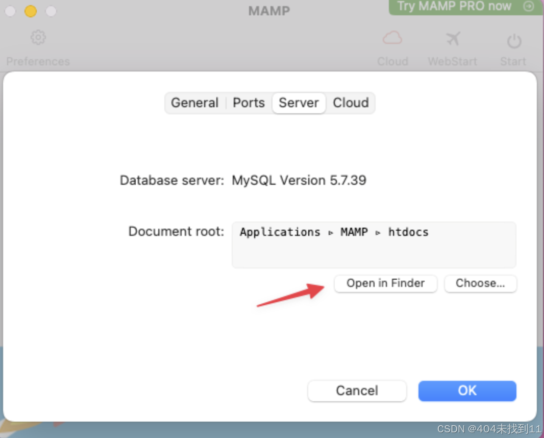 mac版本MAMP本地环境安装wordpress教程【2024】_mac mamp-CSDN博客