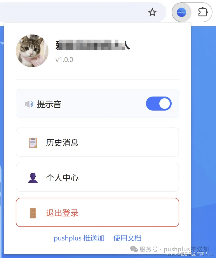 pushplus浏览器插件使用教程_pushplus推送加怎么用-CSDN博客