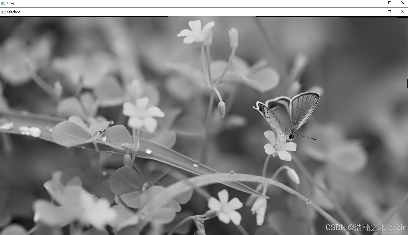 深入浅出之OpenCV-Python_opencv python-CSDN博客