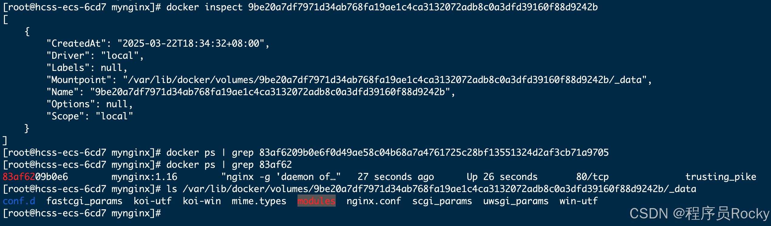 Docker数据卷volume与bind挂载区别_docker volume bind-CSDN博客