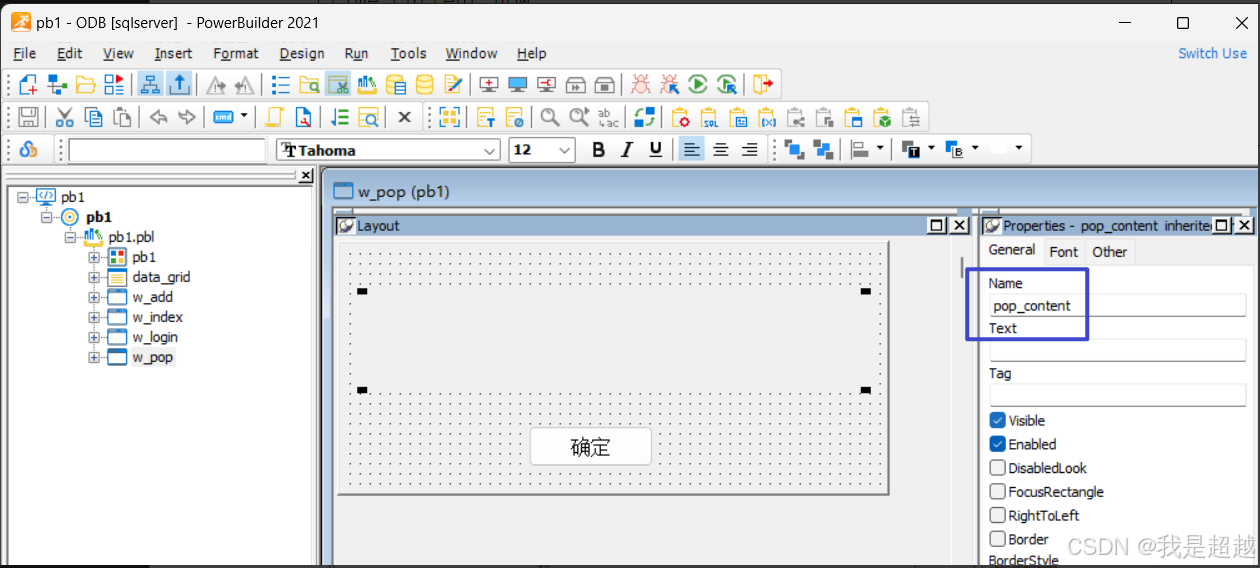 【项目开发篇】012--手把把教你完成一个PowerBuilder小项目之科目选择窗口开发（五）_powerbuilder 数据窗口复选-CSDN博客