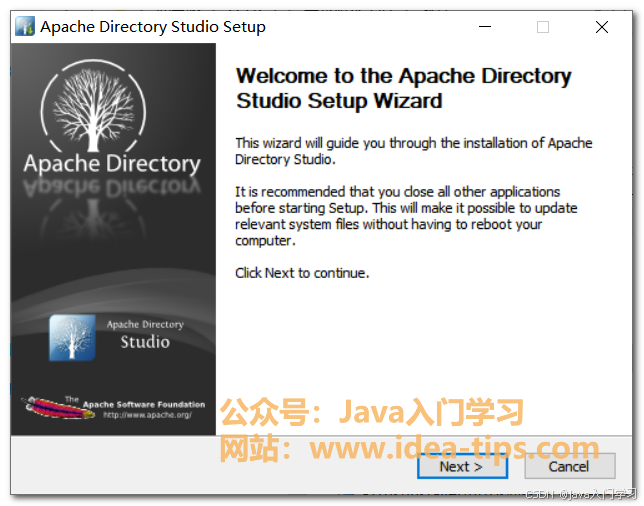 ApacheDirectoryStudio如何安装和使用？附安装包_apache directory studio-CSDN博客