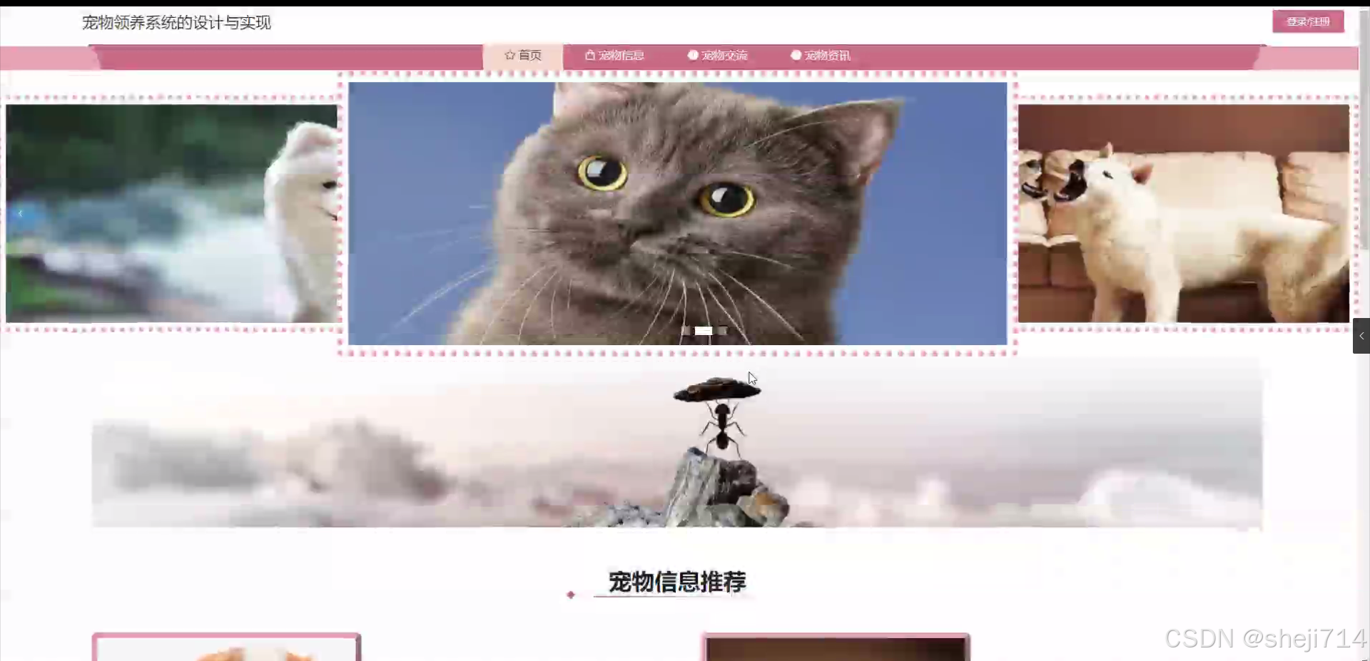 (开题)flask框架宠物领养系统的设计与实现(程序论文python) Csdn博客