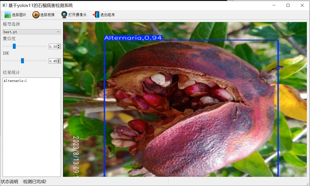 基于yolov11的石榴病害检测系统python源码+pytorch模型+评估指标曲线+精美GUI界面-CSDN博客