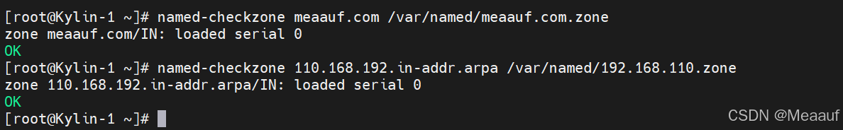 Kylin麒麟操作系统服务部署 | DNS服务部署_麒麟系统配置dns-CSDN博客
