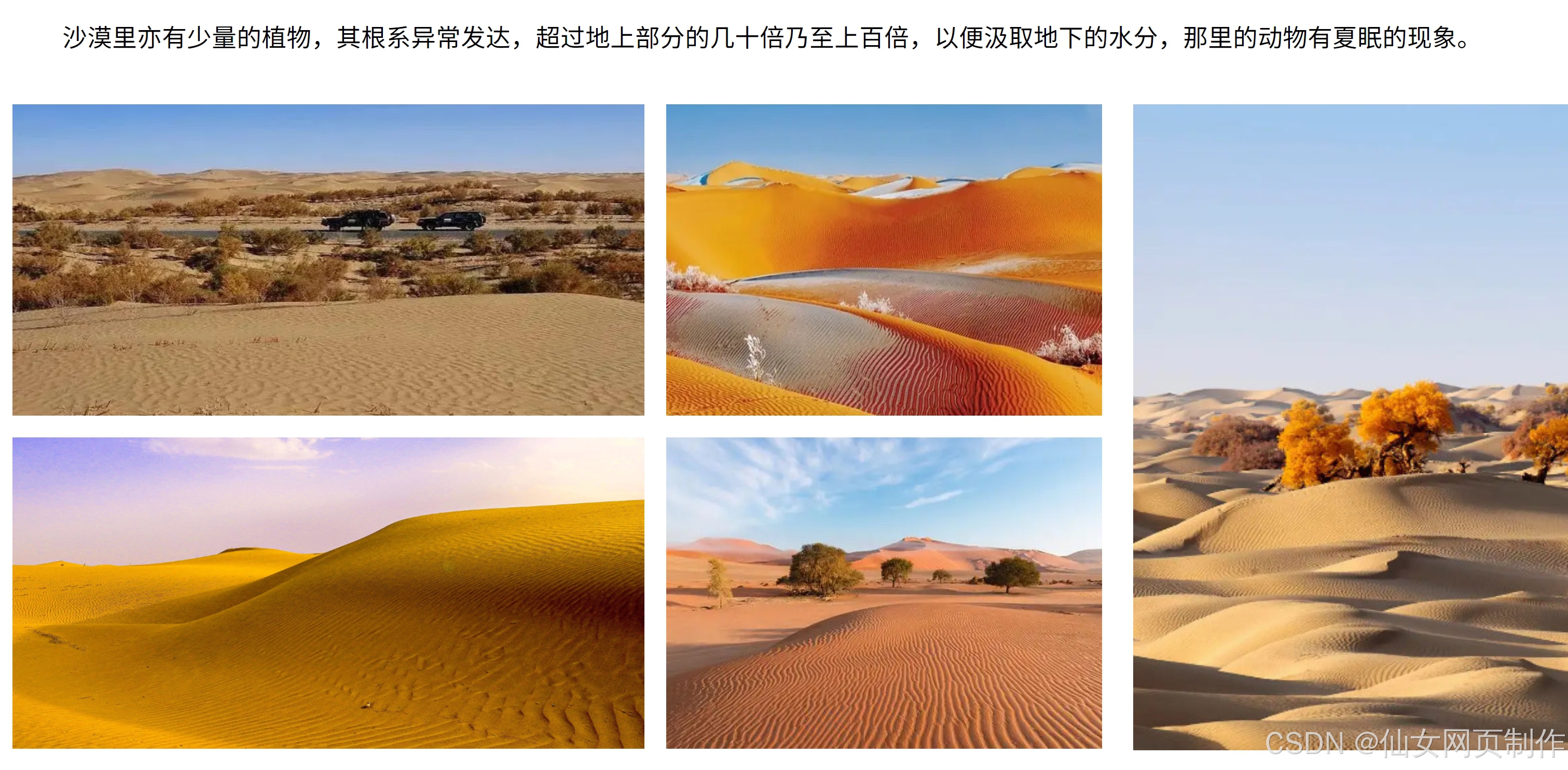 779. 大学生HTML5期末大作业 ―【简单的个人博客首页(1页)】 Web前端网页制作 html5+css3-CSDN博客