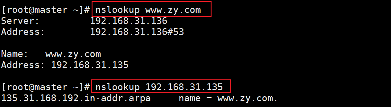 实现nginx搭建网站+DNS域名正向反向解析项目-CSDN博客