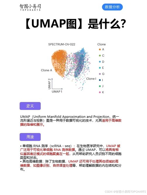 别再懵圈！一文30秒搞懂 UMAP 图，快看-CSDN博客