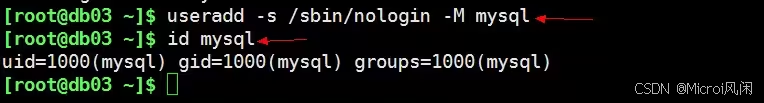 Linux 安装 MySQL 教程--超详细图文讲解 【运维篇】_linux 安装mysql-CSDN博客