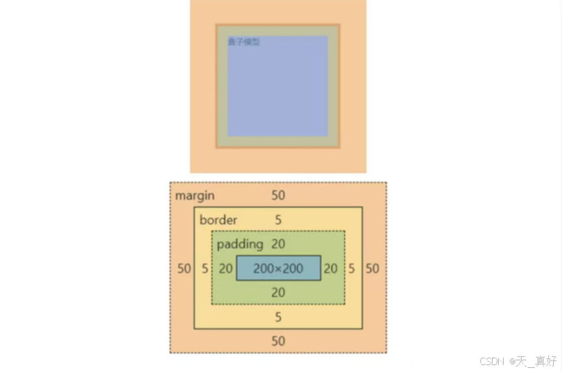 CSS——day5-CSDN博客