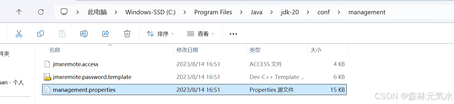 SpringBoot项目启动报错: The server sockets created using the LocalRMIServerSocketFactory only accept ...