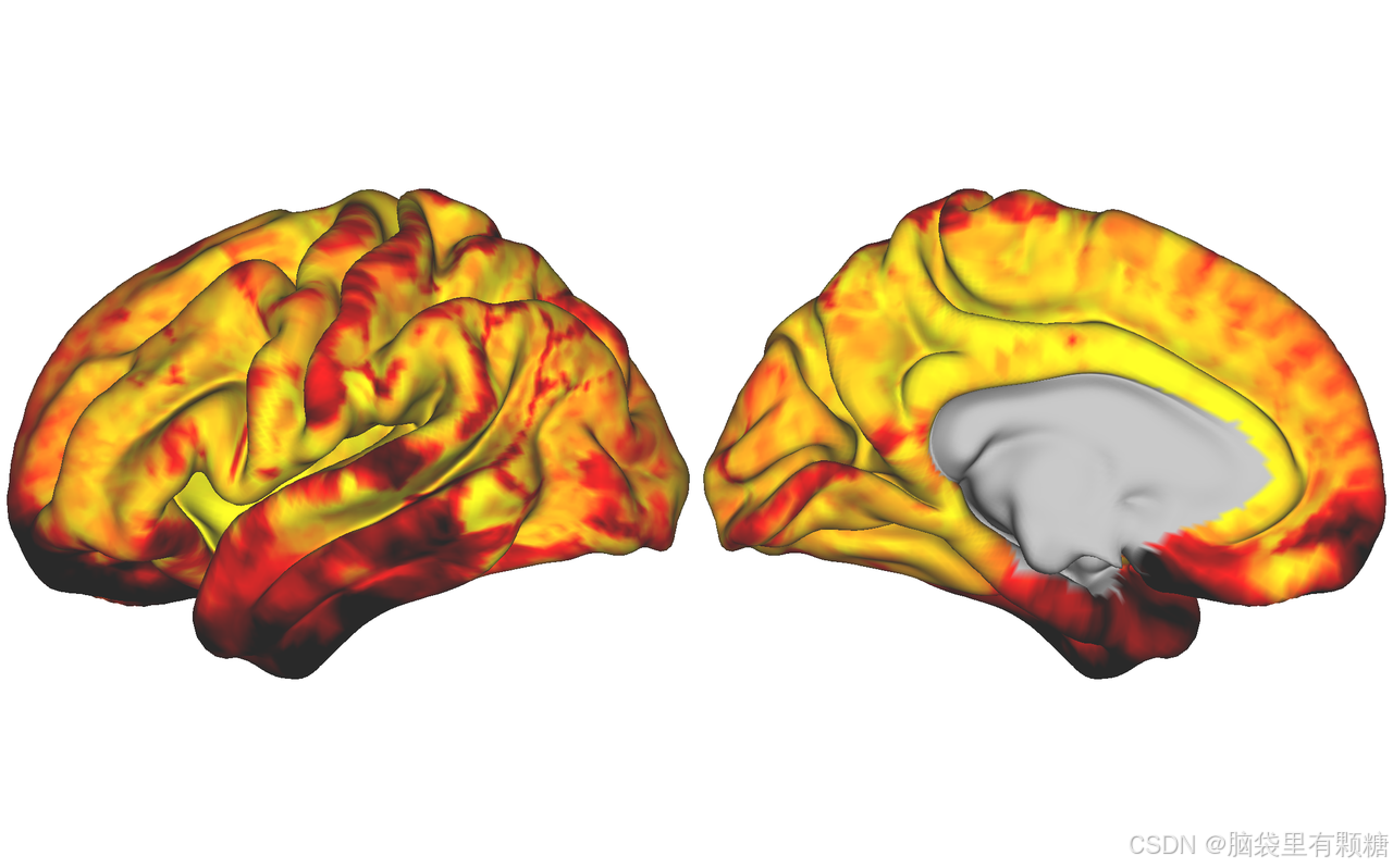 关于fMRIPrep的CIFTI-CSDN博客