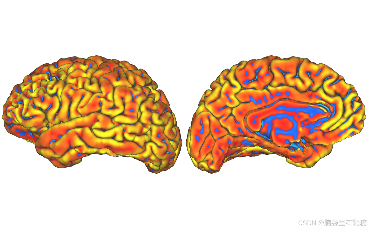 关于fMRIPrep的CIFTI-CSDN博客