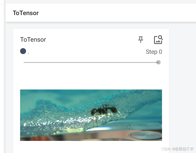 常见的Transforms（一）_python transitions 在类里面使用-CSDN博客