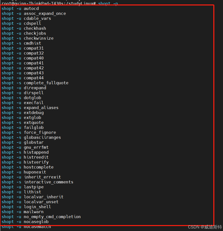 Linux命令：用于显示和修改 shell 的行为选项的内置命令shopt详解-CSDN博客