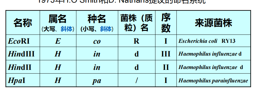 限制性内切酶-CSDN博客