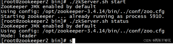 实战案例——zookeeper集群部署_build 25.222-b10-CSDN博客