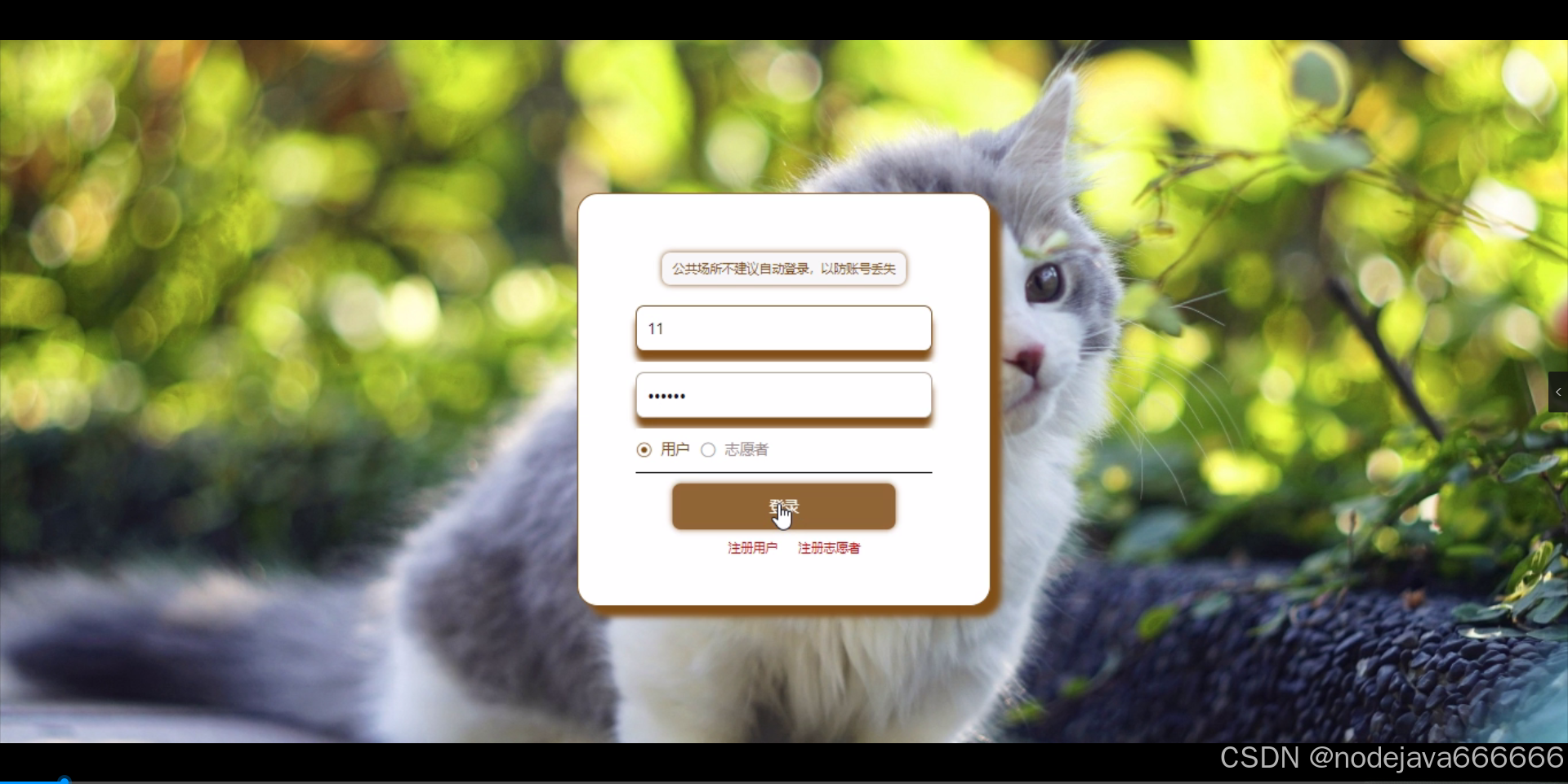 【附源码】计算机毕业设计java校园流浪猫图鉴管理系统的设计与实现校园流浪猫管理系统 Csdn博客