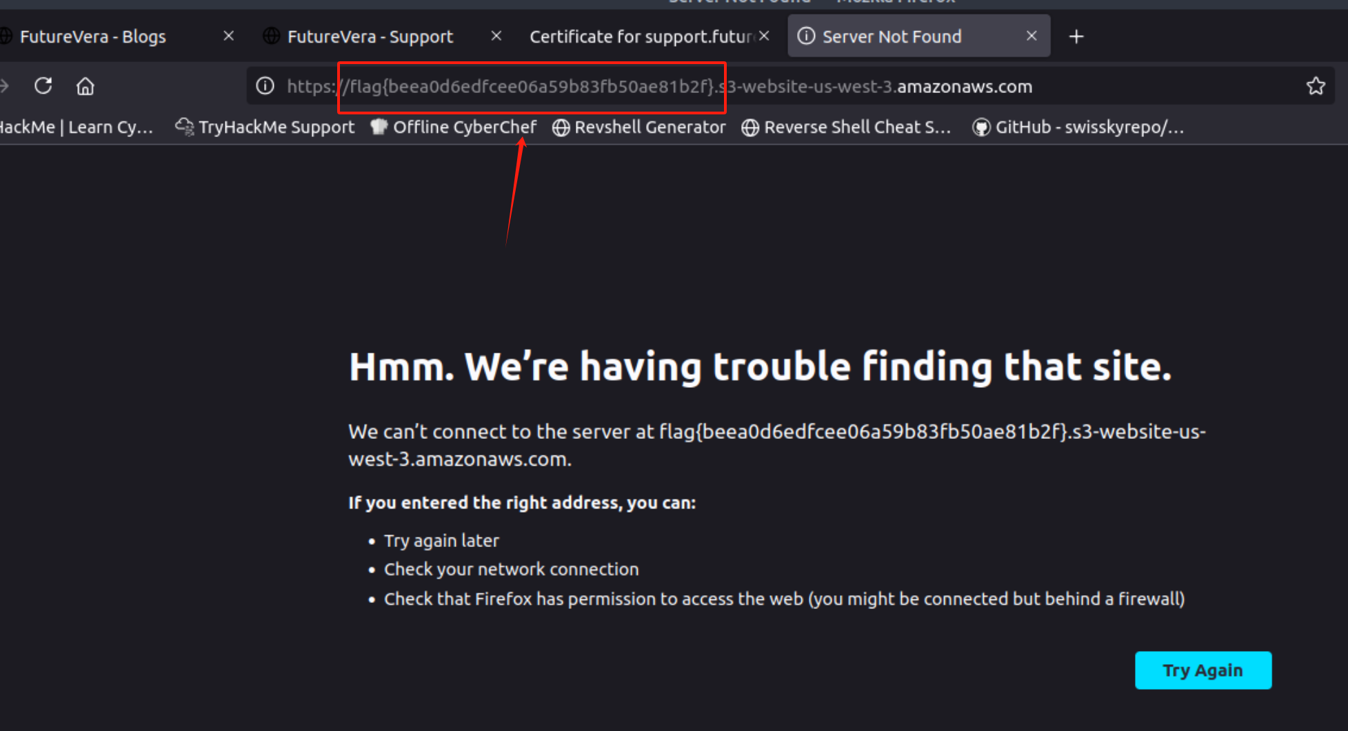[TryHackMe]Challenges---TakeOver接管_tryhackme takeover-CSDN博客