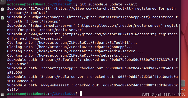 使用ZLMediaKit构建RTSP流媒体服务器-CSDN博客
