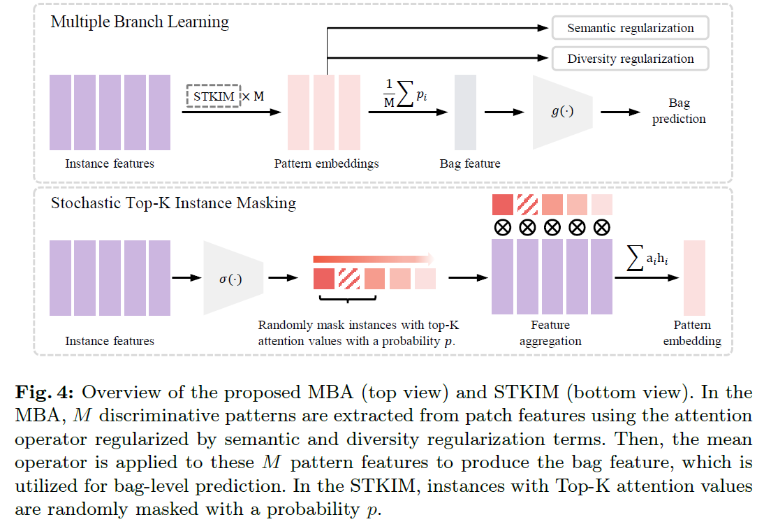 论文129：Attention-challenging multiple instance learning for whole slide image (ECCV‘25, Open ...