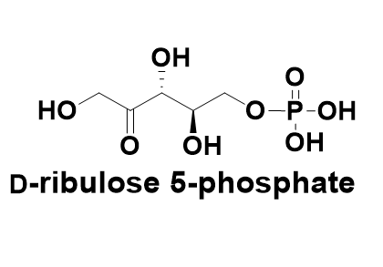 cas：551-85-9，D-ribulose 5-phosphate，D-核酮糖-5-磷酸酯-CSDN博客