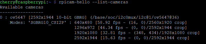 树莓派Raspberry Pi 点亮csi摄像头_libcamera-hello未找到命令-CSDN博客