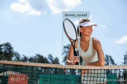 数据集-目标检测系列- 网球拍 检测数据集 tennis_racket ＞＞ DataBall_球拍数据集下载-CSDN博客