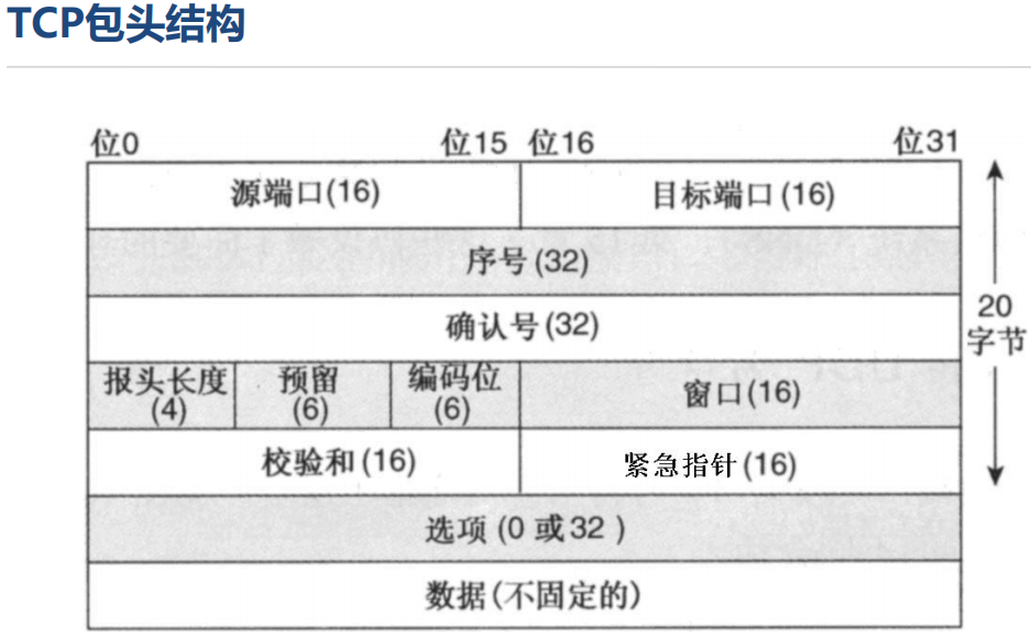 TCPIP之协议基础-CSDN博客