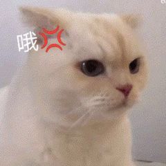 ABAP BAPI_GOODSMVT_CREATE MIGO 常见移动类型_abap migo bapi-CSDN博客